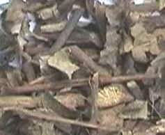 Index of /images/herb-supply/herb-introduction